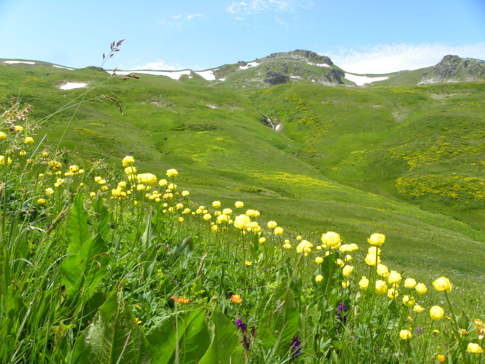 Eco Studio Joni – Gazmend Zeneli