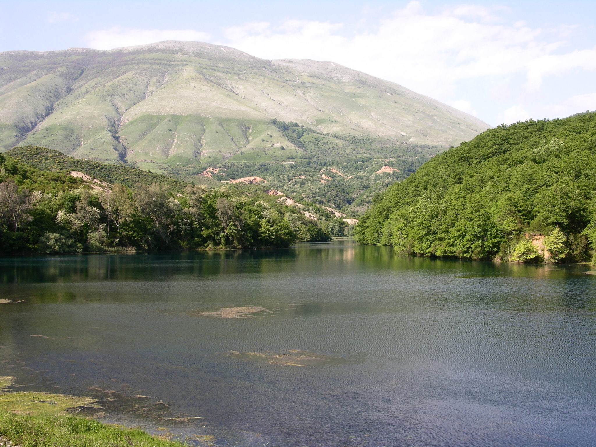 Eco Studio Joni – Gazmend Zeneli