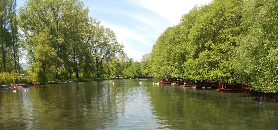 Eco Studio Joni – Gazmend Zeneli